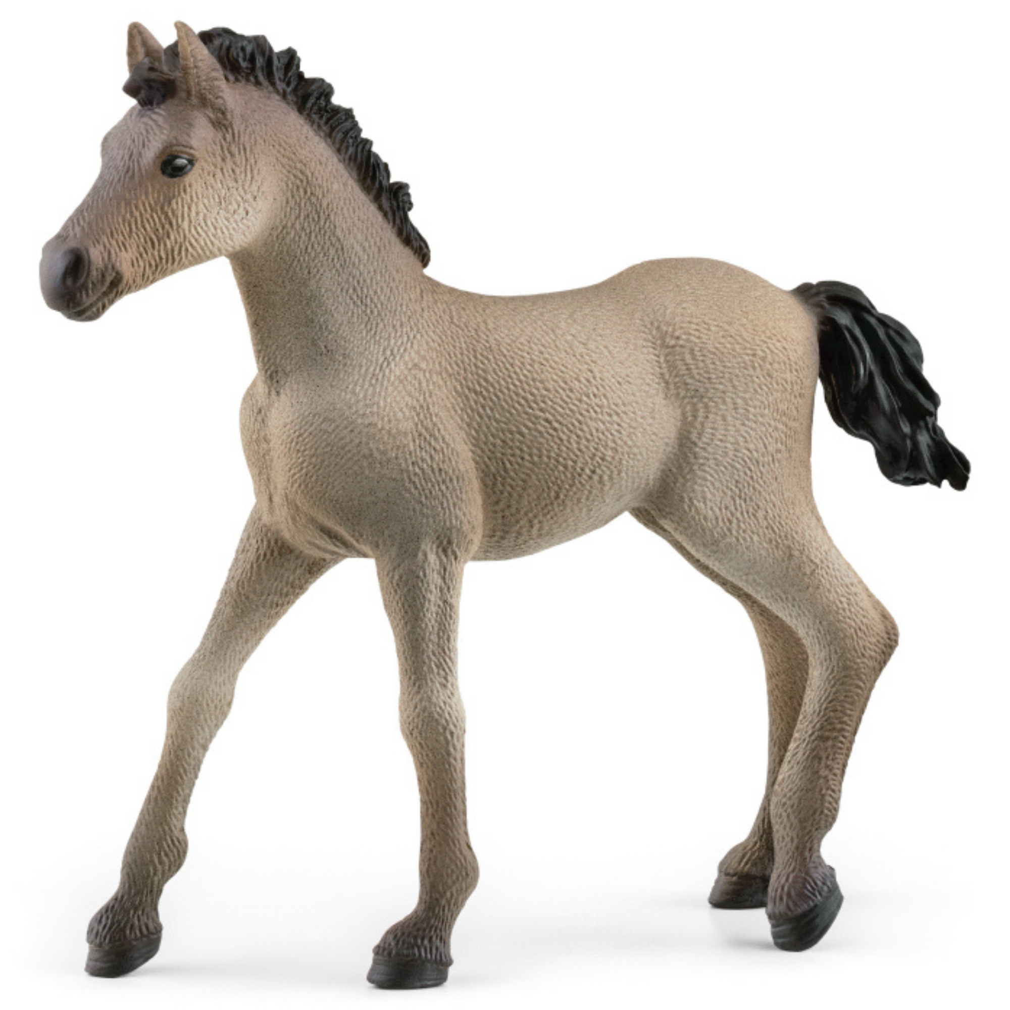 Schleich Criollo Definitivo Foal 13949